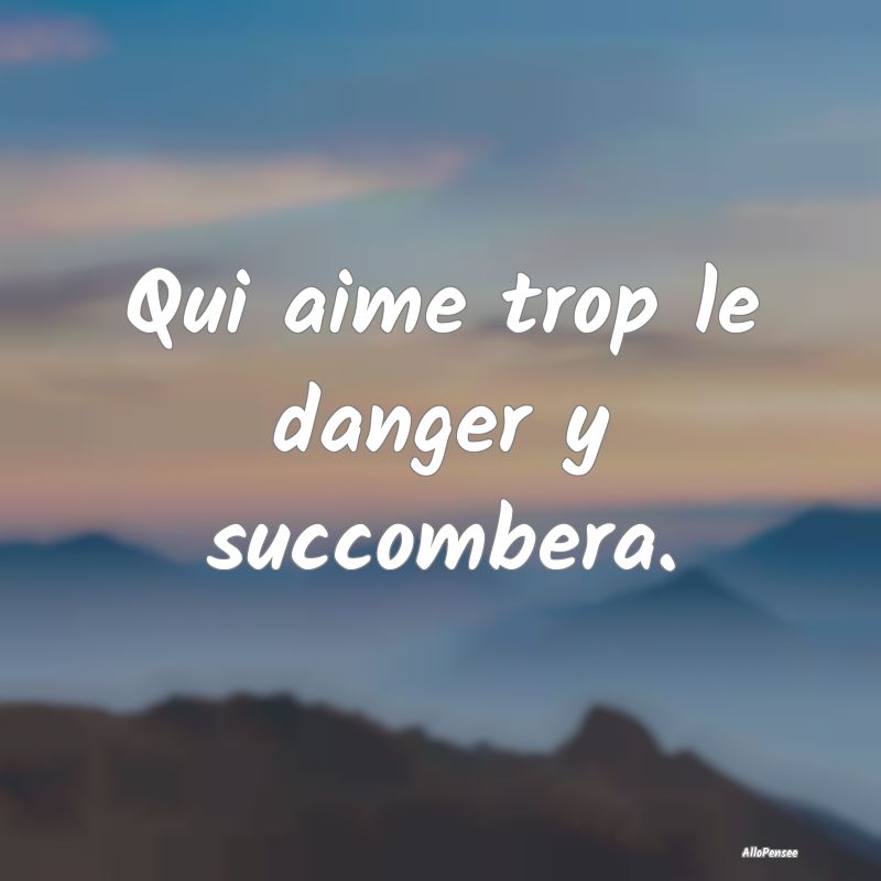 Citation Risques - AlloPensee